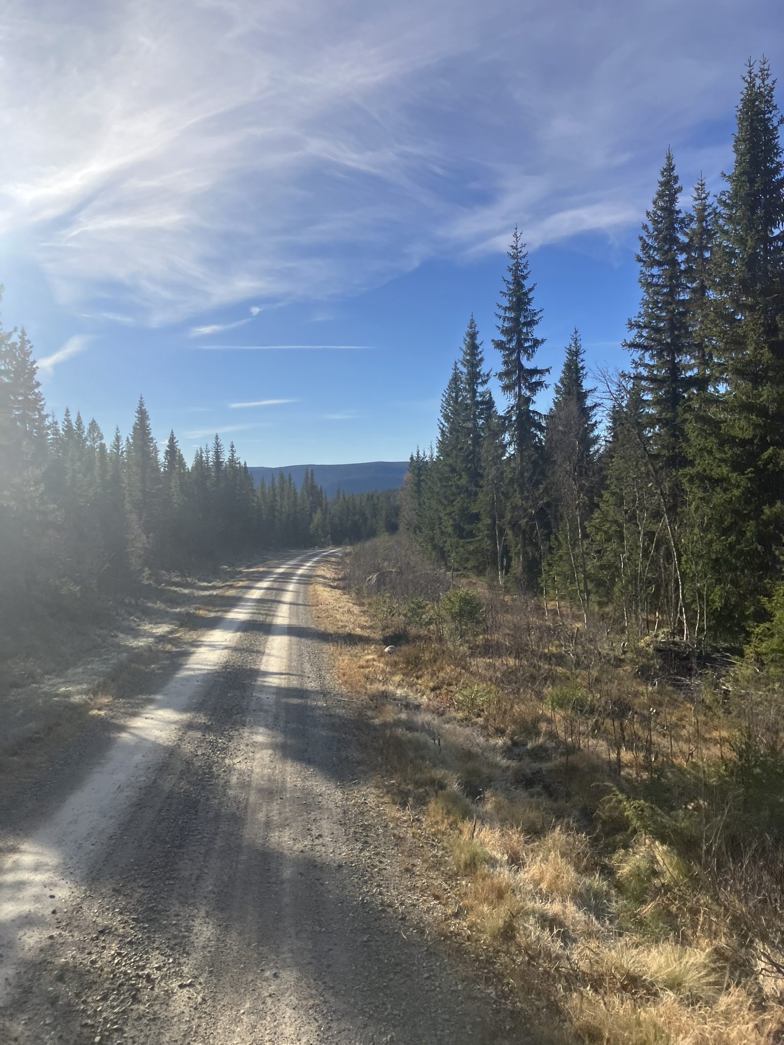 MC rejser til Norge – Offroad i fjelde, skove og vidder